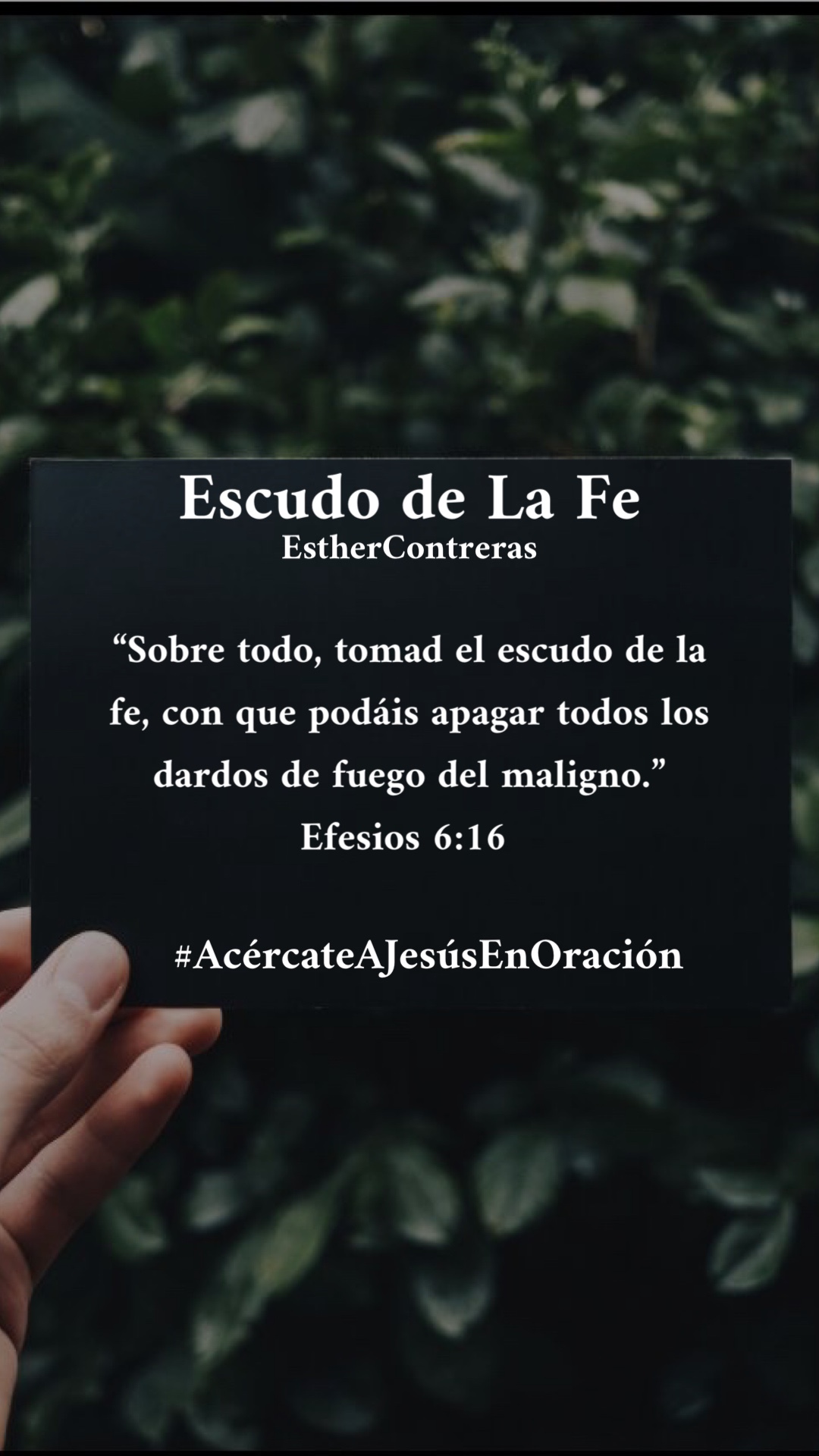 Escudo de la Fe – EstherContreras
