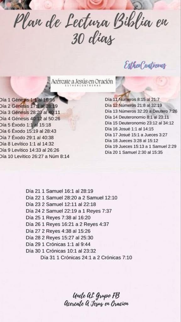 Plan de lectura de la biblia – EstherContreras